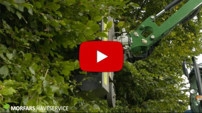 Hegnsklipning København » Morfars haveservice » Ring 22 72 36 83